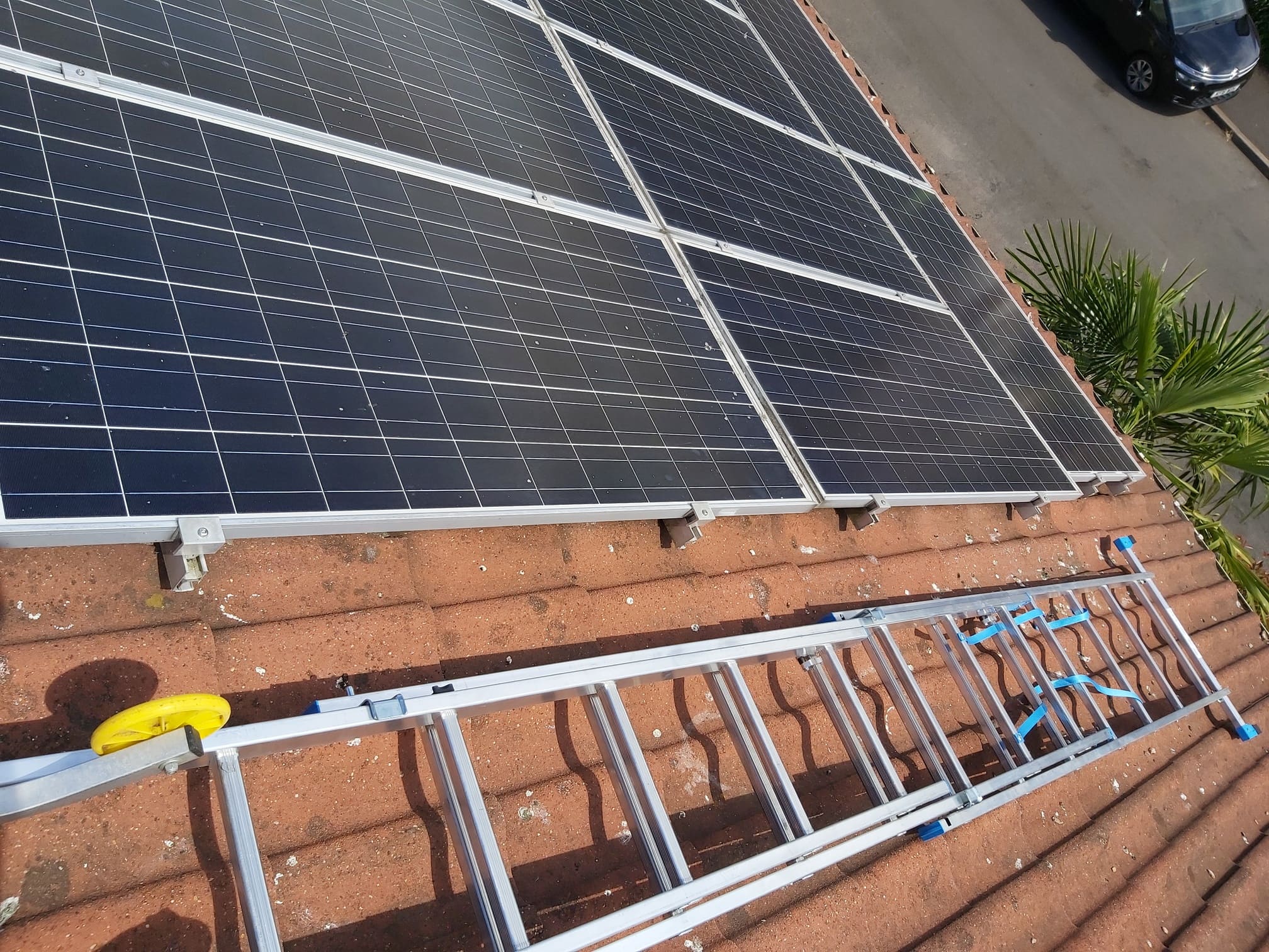 Tamworth Solar Bird Barrier And Panel Cleaning - Done Right